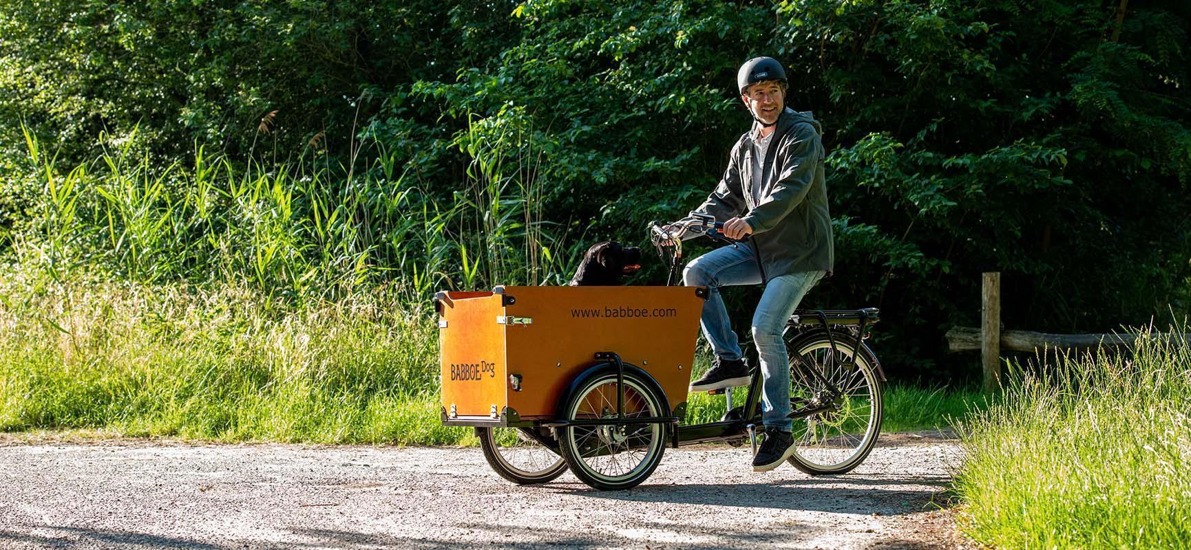 A bike for your dog: the Babboe Dog cargo bike | Babboe