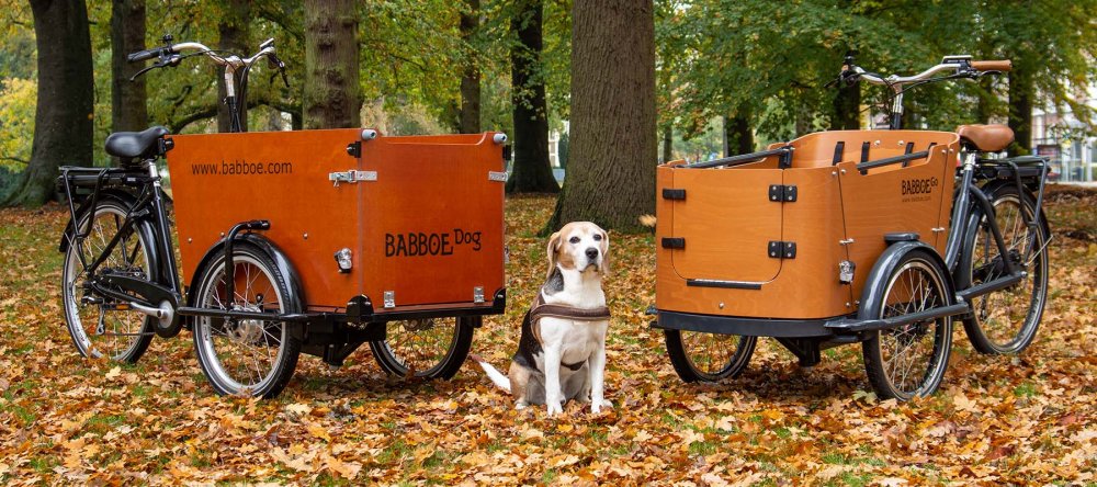 A cargo bike for dogs - How cool is that?! | Babboe